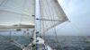 Online Classes - American Sailing